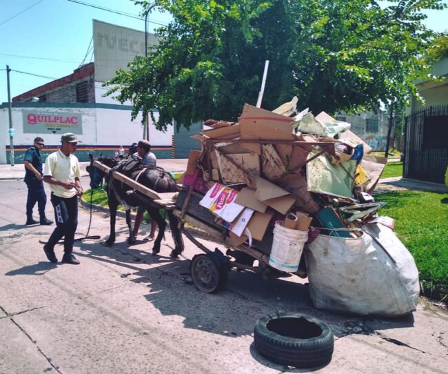 Maltrato animal en Quilmes: cada 8 horas muere un caballo de carro ...