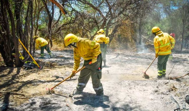 Salta es la única provincia que registra un foco de incendio forestal ...