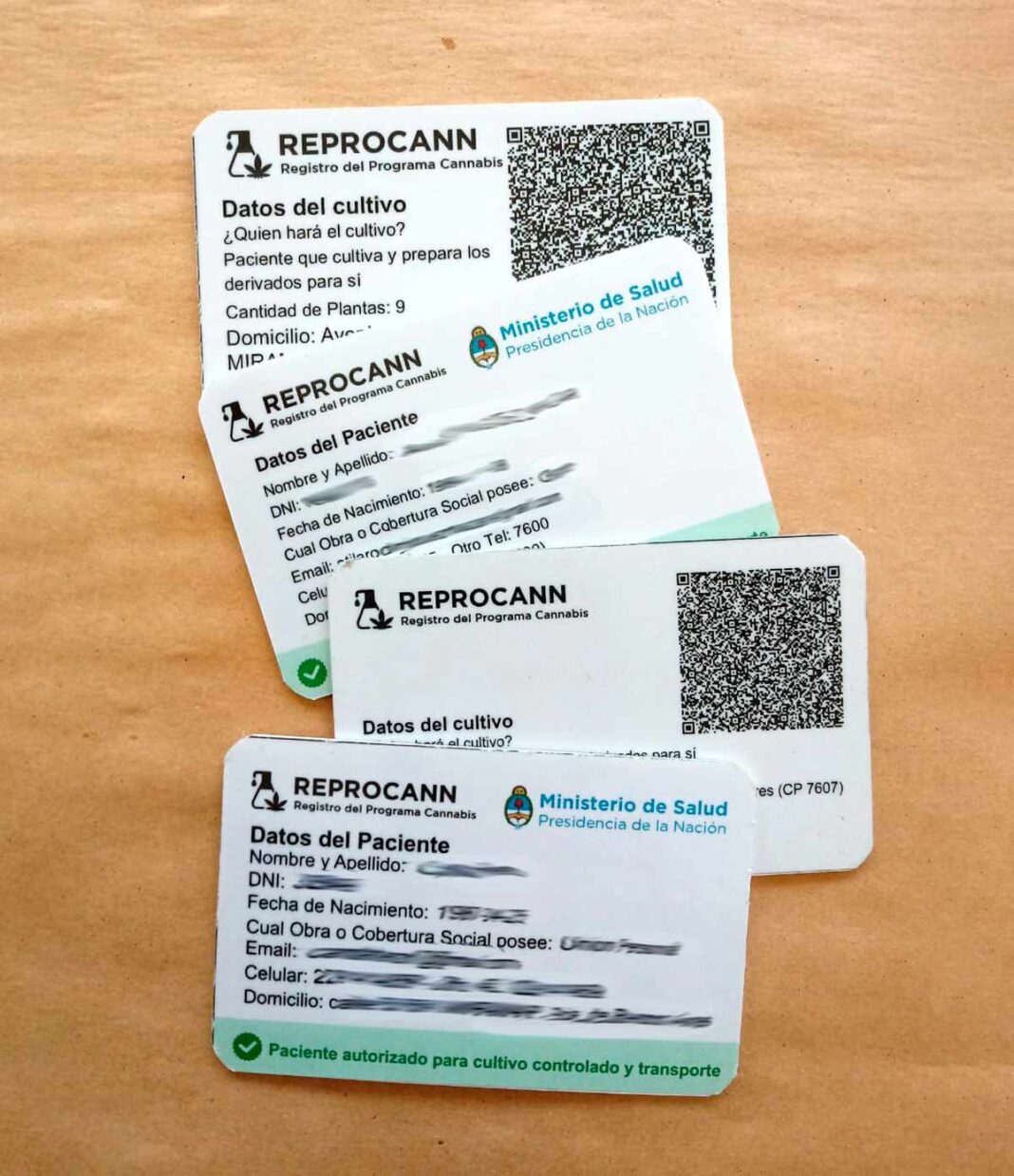 Cannabis medicinal en Argentina: nuevos requisitos, tensiones y ...